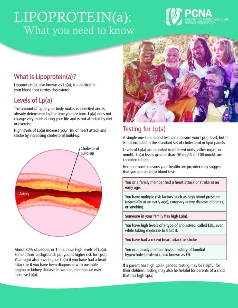 Lipoprotein(a): What You Need to Know Fact Sheet – PCNA