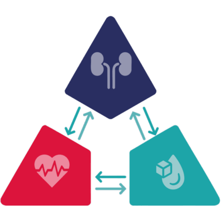 Cardiovascular-Kidney Metabolic Syndrome Patient Information - PCNA